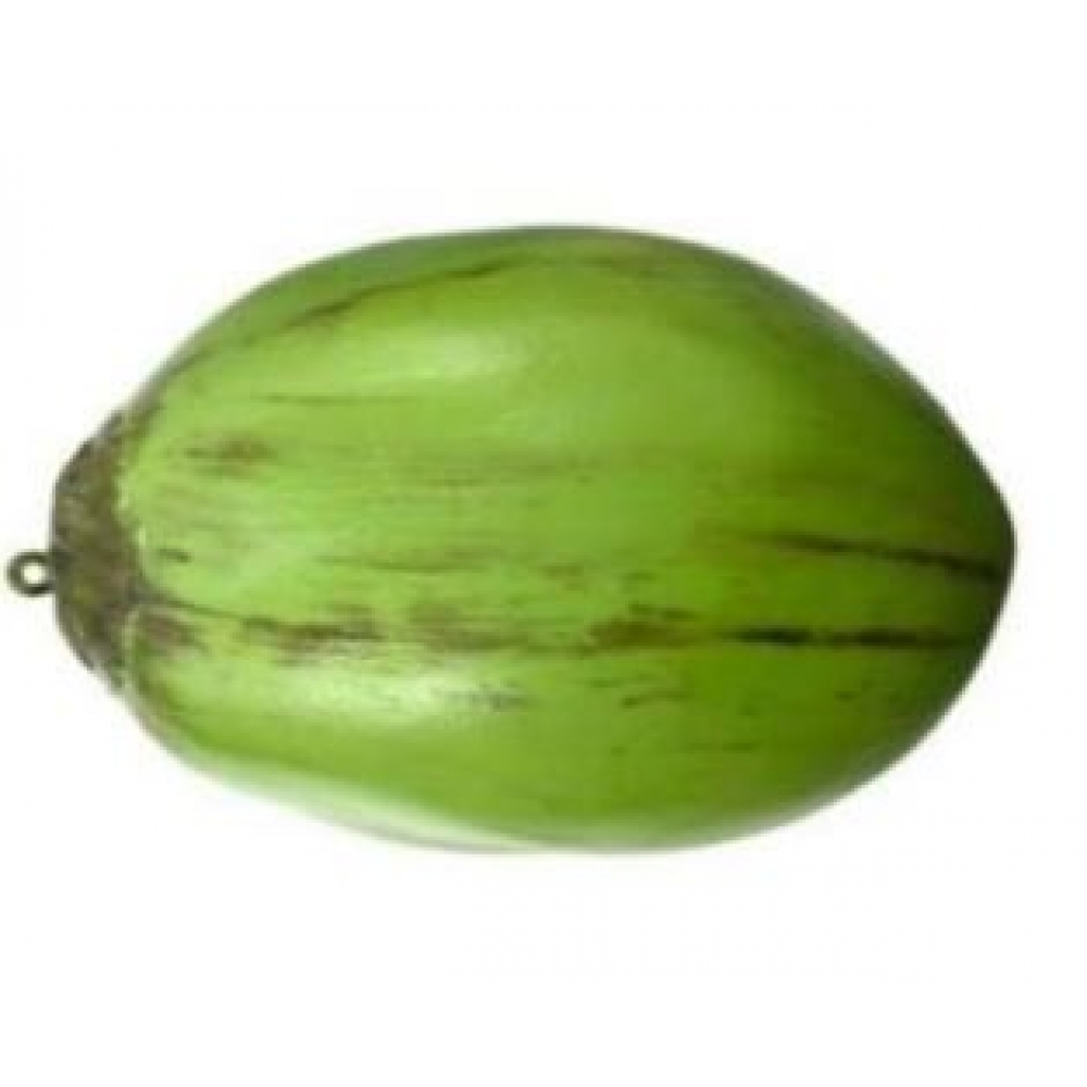 Enfeite Côco de Plástico - Fruta de plástico para decoração de festas ...